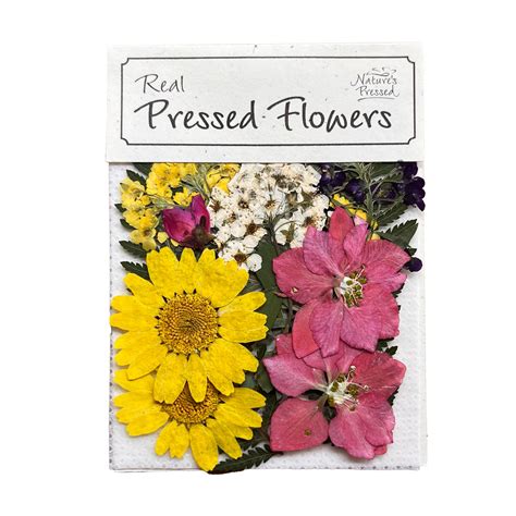 Springtime Assortment Small 10 Pieces Natures Pressed