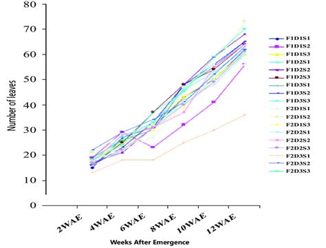 2 Combined Effect Of Seed Size Sowing Depth And Fertilizer On Height