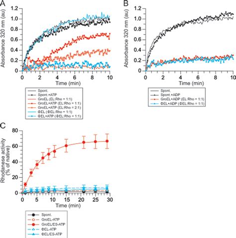 Molecular Chaperone Activity Of ɸel A B Aggregation Prevention
