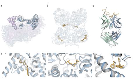 Nature速递：alphafold 3 预测所有生命分子的结构和相互作用 集智俱乐部