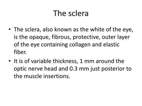 Ppt Anatomy And Embryology Of The Eye And Ocular Adnexa Powerpoint