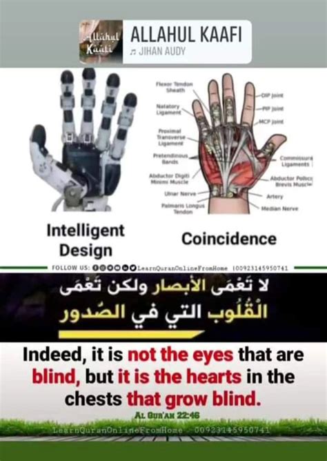 Mona Ma Posted On Linkedin