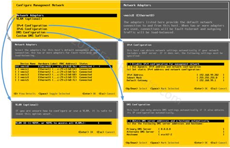 Vsphere Esxi Networking Guide Part 2 Standard Switches Configuration Esxi 67 Fast Reroute