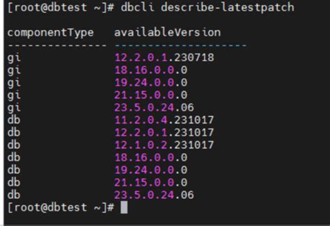 Oci Patching A Db System Vmbare Metal Made Simple Nithin Sunkes
