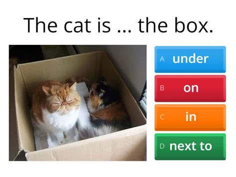 Starters Preposition Of Place Quiz