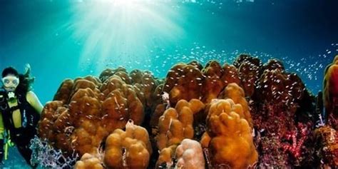 Floyさんがあなたの旅に彩りを。 Colorier Veltra 【コロリエ】