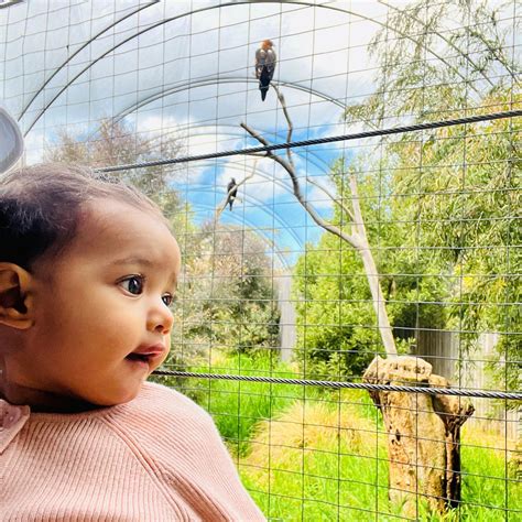 අම්මියි දූ පැටියයි දෙන්නා යාළුවො ගොඩක් බලන්න ගිහින් ධනාගේ දෝණිට මුණගැහුණු යාළුවො බලන්නකො