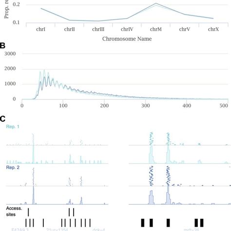 Multi Phase Structure Of Nucleolus A A Nucleolus Is Composed Of Three