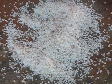 Filter Media At ₹ 5 Kg Filter Media In Hyderabad Id 2854786416448