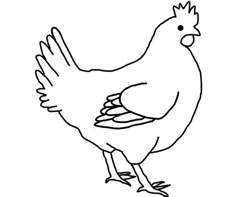 Gambar Mewarnai Ayam