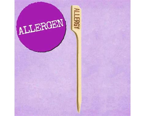 Bamboo Gun Shaped Allergy Paddle Skewer 45 115cm