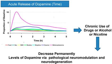 Dopamine Pharmacodynamics New Insights