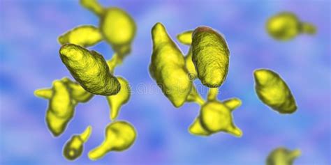 Bacterias Del Micoplasma Ejemplo Stock De Ilustración Ilustración De