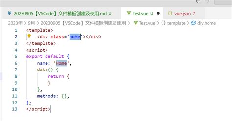 【vscode】文件模板创建及使用mdvscode Md Csdn博客