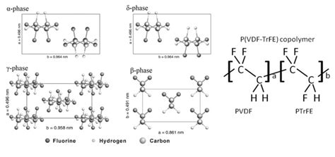 Representation Of Pvdf Molecules On The Left It Is Shown The Structure