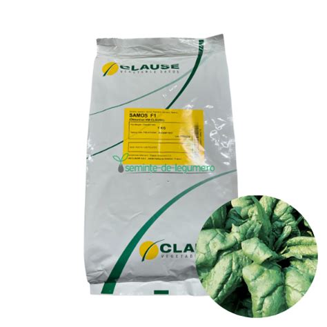 Spanac Samos F1 1 Kg Hibrizi Clause