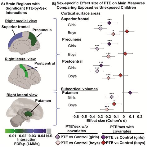 Prenatal Tobacco Exposure On Brain Morphometry Partially Mediated Poor