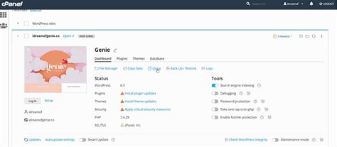 wordpress toolkit and its advantages cpanel wordpress toolkit