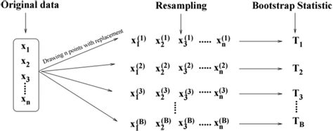 Graphical Illustration Of Bootstrapping Li 2004 Download Scientific