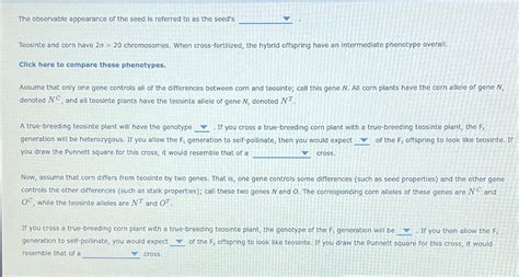 Solved The Observable Appearance Of The Seed Is Referred To