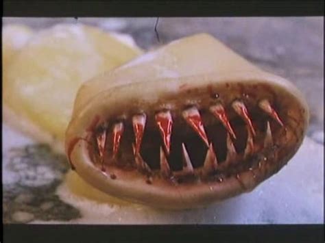 Condom With Teeth Bites Penis Off Scene From The Movie Killer Condom