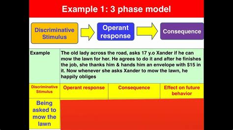 Operant Conditioning Examples