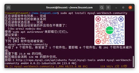 在 Ubuntu 2004 上 Mysql Workbench 安装和使用 Linux迷