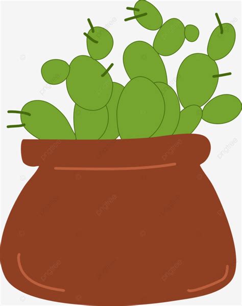 لطيف الصبار المتجه صبار مصنع ديكور Png والمتجهات للتحميل مجانا