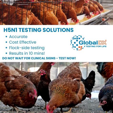 Global Dx Ltd On Linkedin Rapid Testing For Avian Influenza Allows