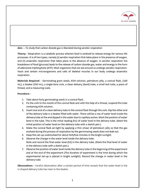 Practical Activity 2 Pdf