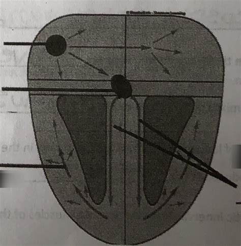 Final Diagram 4 Diagram Quizlet