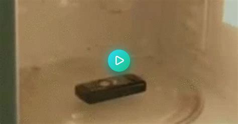 This Is What Happens When You Put A Cellphone In A Microwave  On