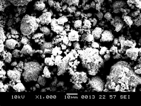 12 Sem Image Of Cuo Download Scientific Diagram