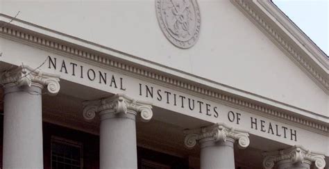 Urging Nih To Resist Hype Of Alternatives To Animal Studies