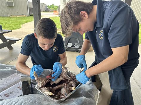 Agathos Classical School Columbia Tn