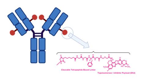 Top 5 Most Expected Biologics In 2024 Mabion