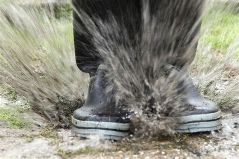 Premium Photo Low Section Of Cat On Grass