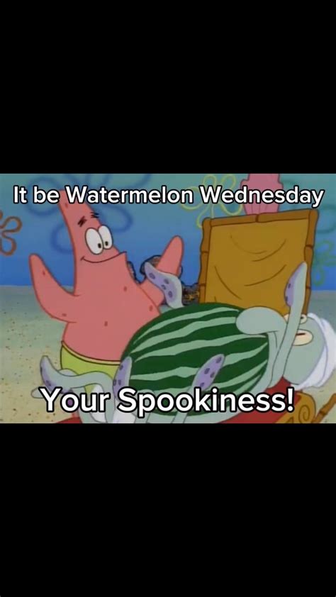 Spongebob Memes And Edits Tiny Spongebob Follow My Page
