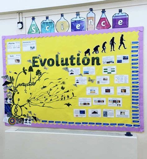Ks3 Display Board About Biology Soft Board Decoration School Board Decoration Class Decoration
