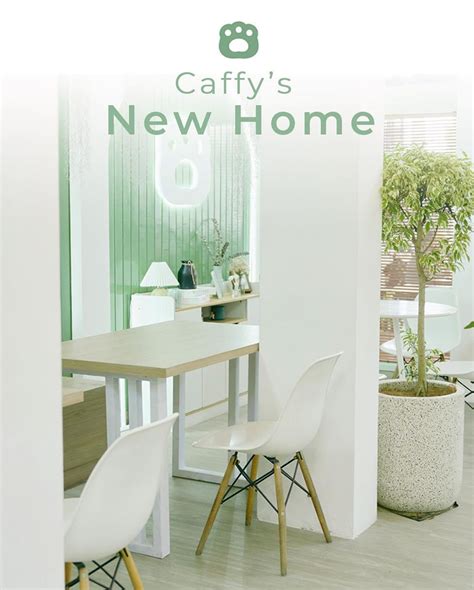 Caffinity Caffinityid • Instagram Photos And Videos