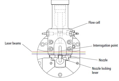 Flow Cytometry And Cell Sorting A Practical Guide Cell Sorting Of Venus Cells Using Flow