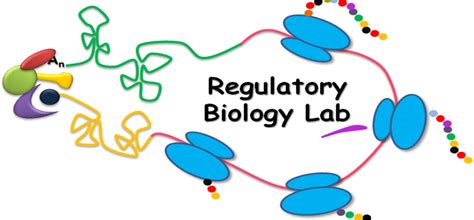 Partho Sarothi Rays Lab Indian Institute Of Science Education And