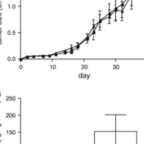 Mia Hoffmann Christian Albrechts Universität Zu Kiel Kiel Cau