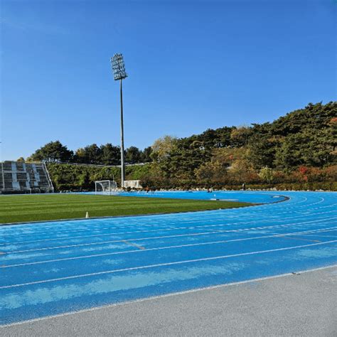 달리기의 효과와 올바른 러닝 자세