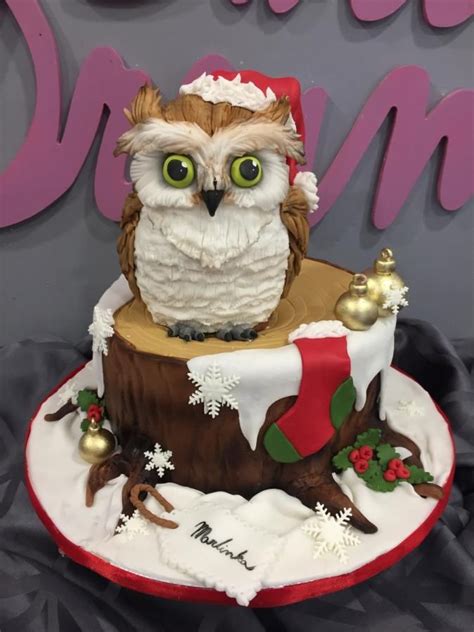 Christmas Owl Owl Cakes Christmas Cake Novelty Cakes