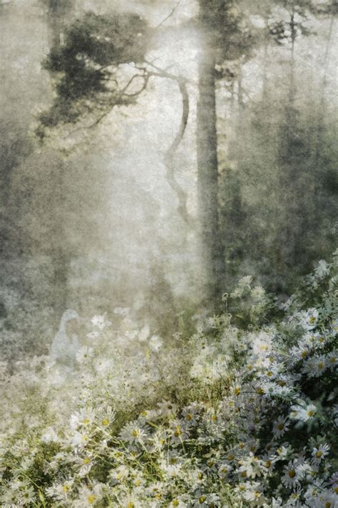 Fapa Fine Art Photography Awards First Fine Art Photography Contest