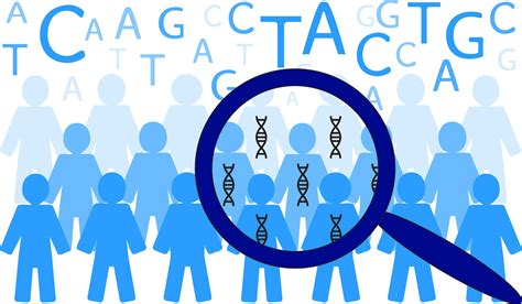 Vcf A Guide To Key File Formats For Sequencing Data Seqanswers
