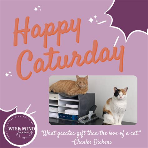 Happy Caturday 🐈‍⬛ Here Are Two Of Wise Mind Academy Facebook