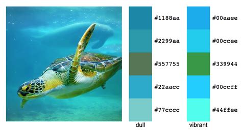 Turtle Color Scheme