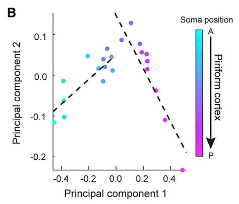 Pca Plot A Biomedical Visualization Atlas